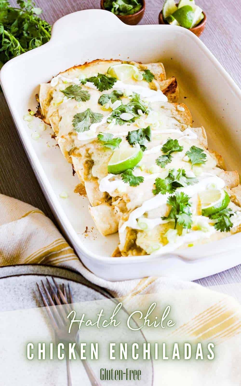 Hatch Chile Chicken Enchiladas - Tao of Spice