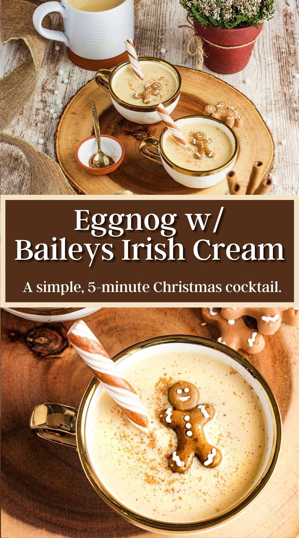 Eggnog with Baileys - Tao of Spice