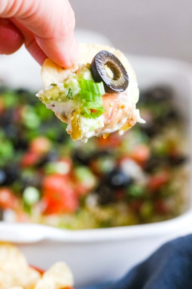 Spicy 7-Layer Dip - Tao of Spice