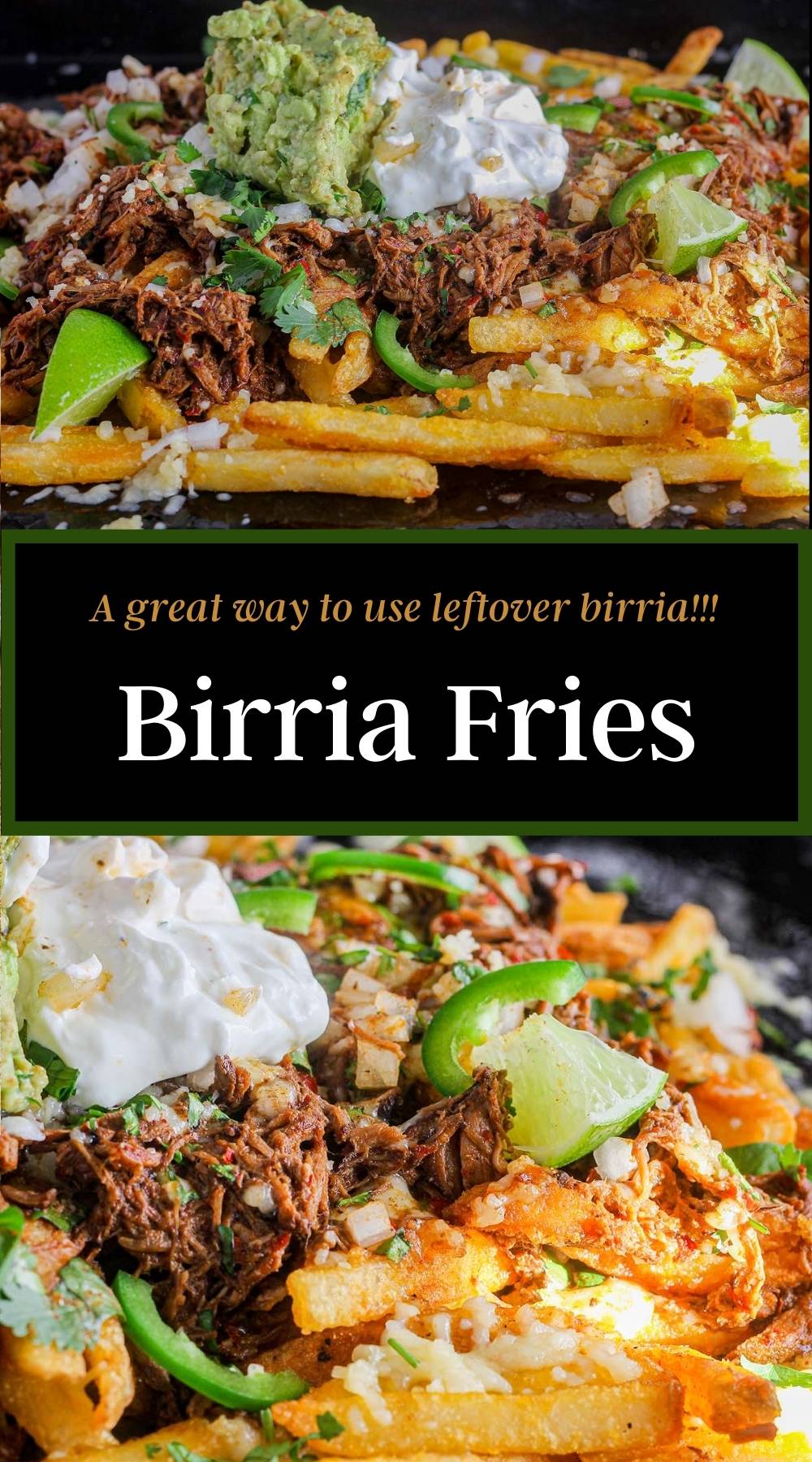 Birria Fries - Tao of Spice