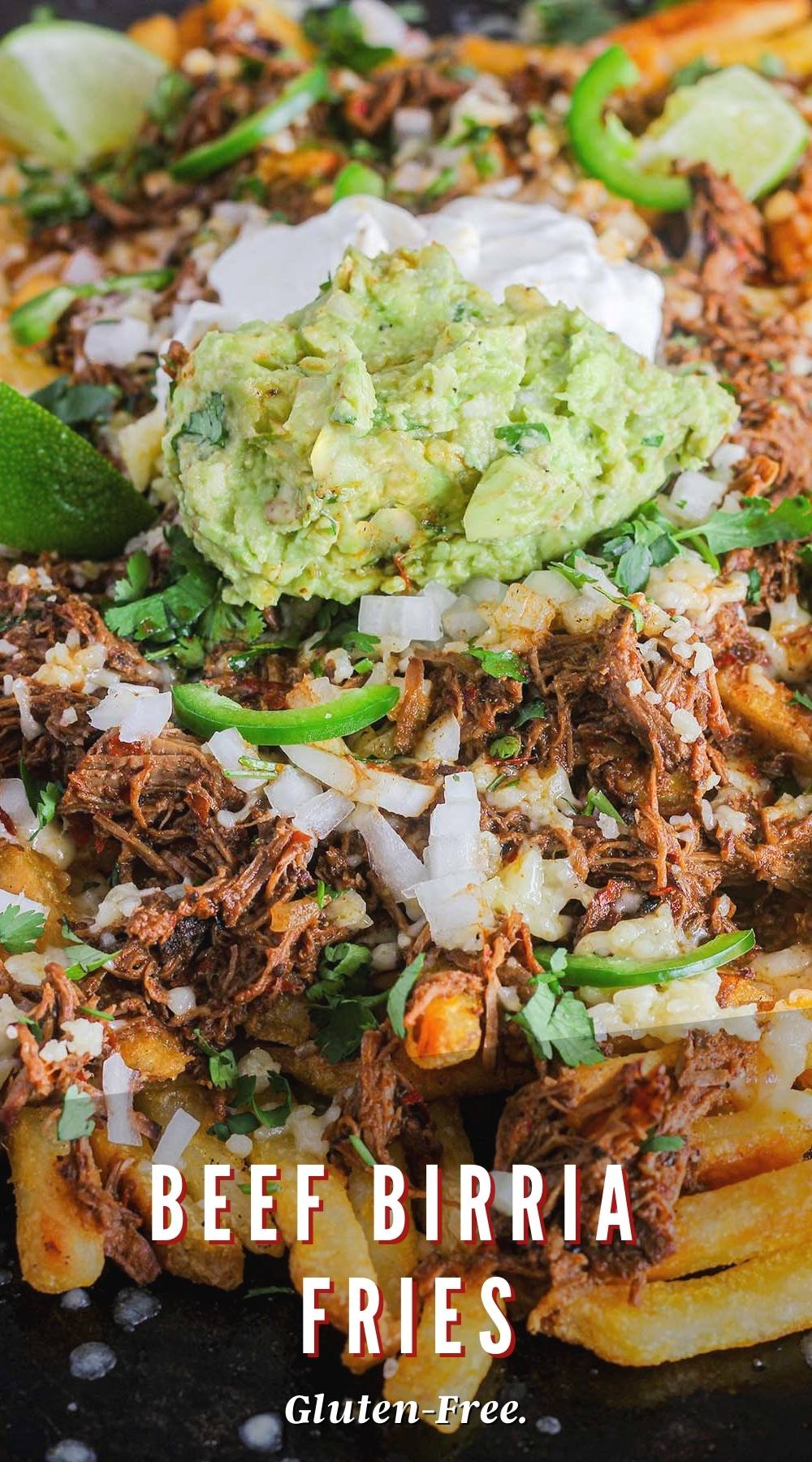 Birria Fries - Tao of Spice