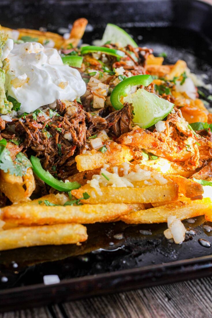 Birria Fries - Tao of Spice